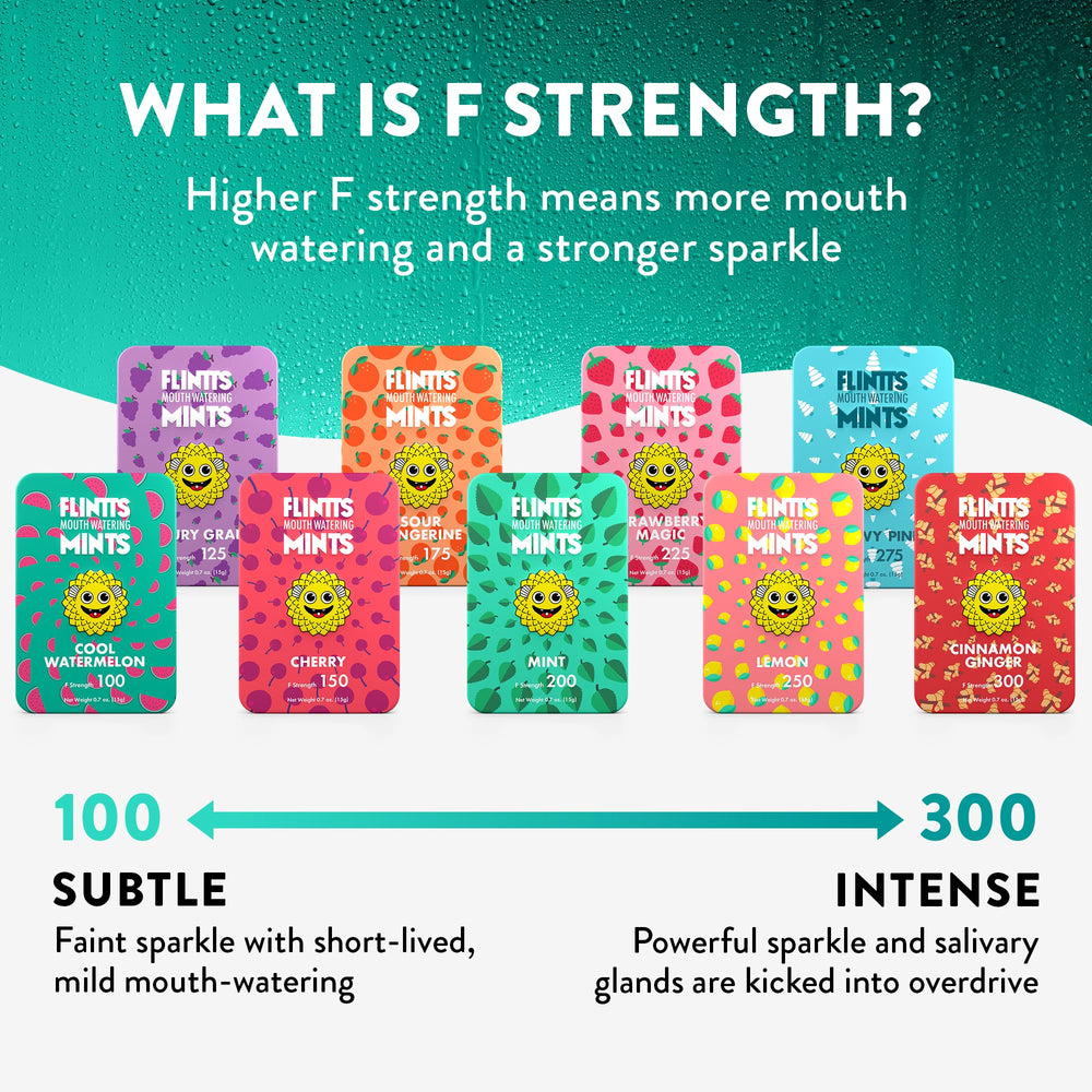 Flintts Mints Full House – Sugar Free Dry Mouth Mints for Fresh Breath ...